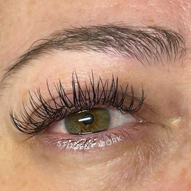 Beginner Lash Extension Course